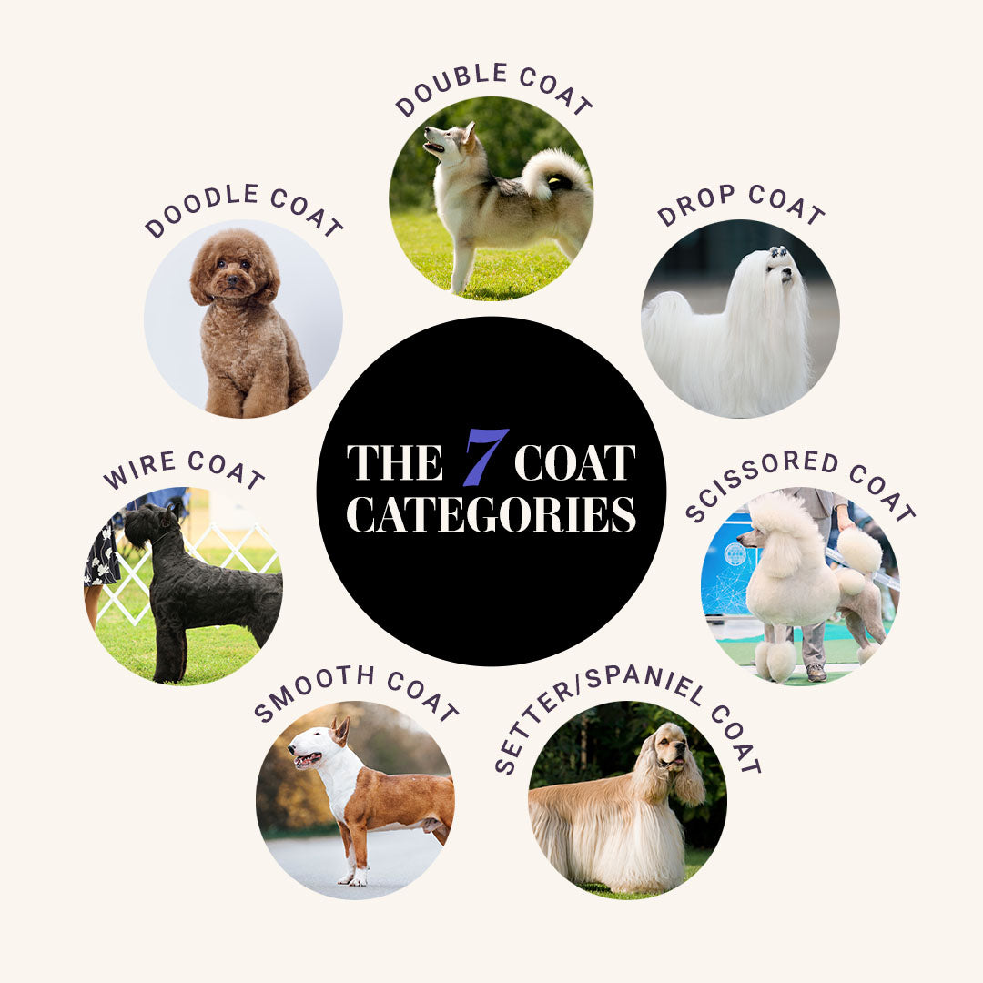 What is a Coat Type? The 7 Coat Categories — Chris Christensen